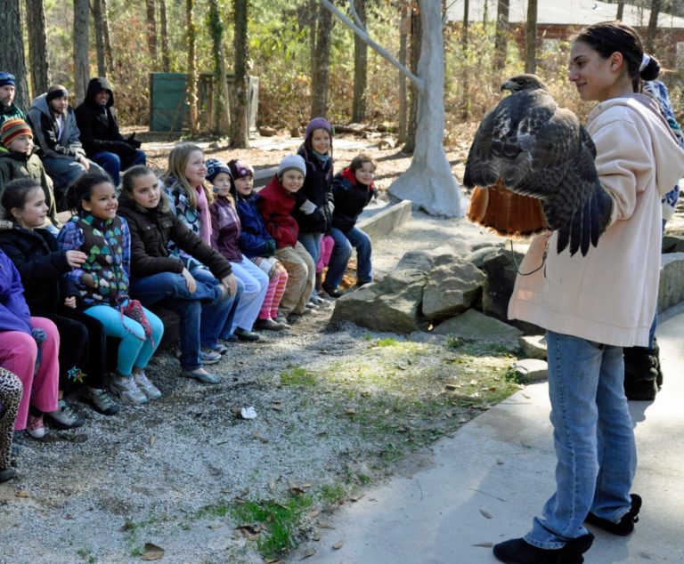Wildlife Programs and Tours – AWARE Wildlife Center