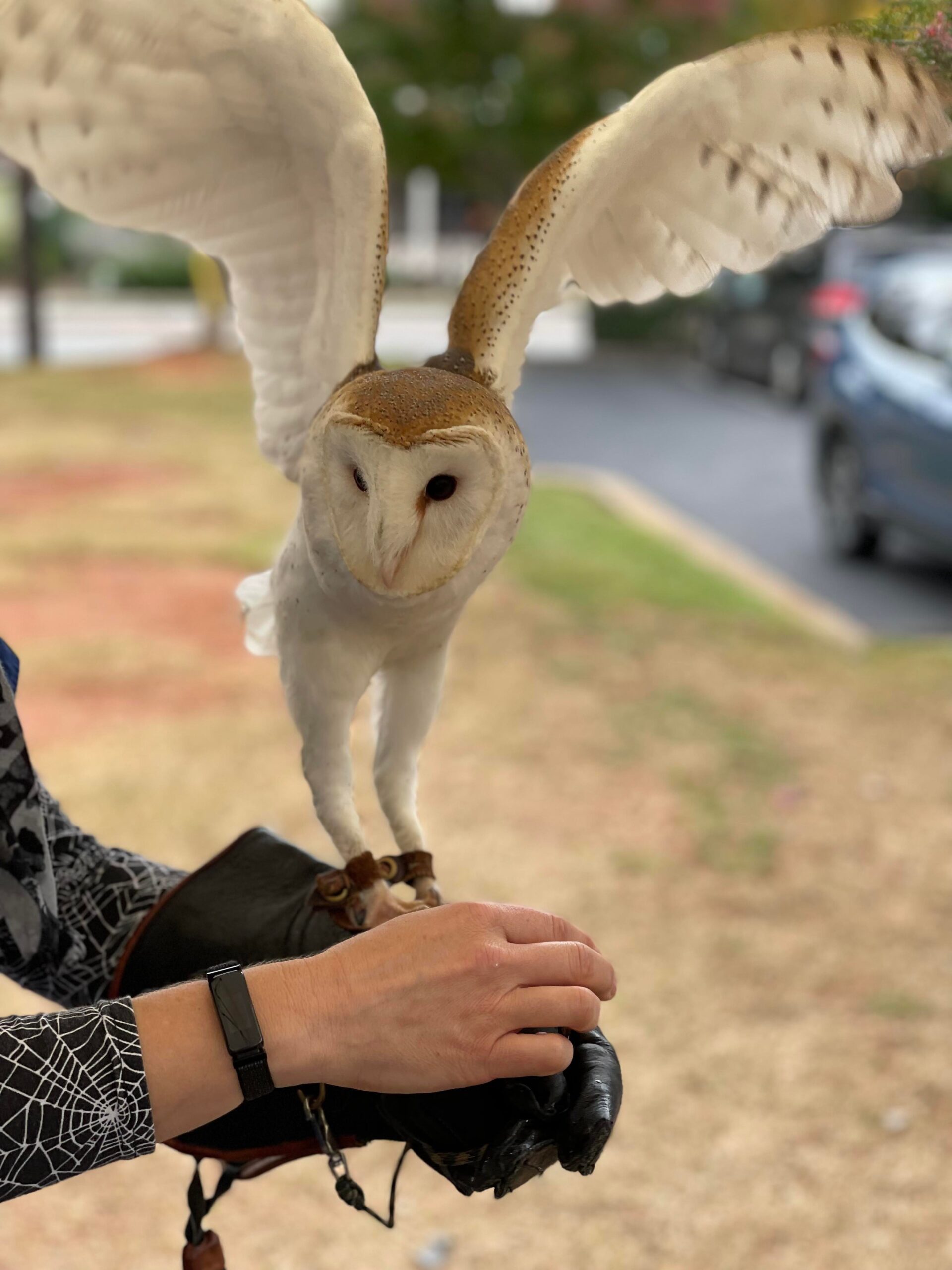 2021 Farewell – AWARE Wildlife Center