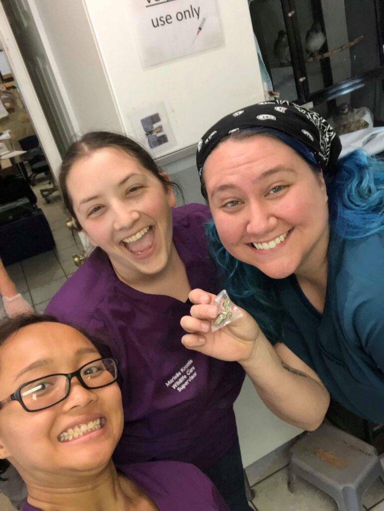 Owl Of Fame – AWARE Wildlife Center