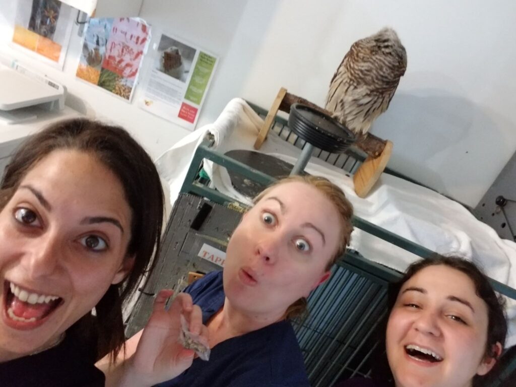 Owl Of Fame – AWARE Wildlife Center