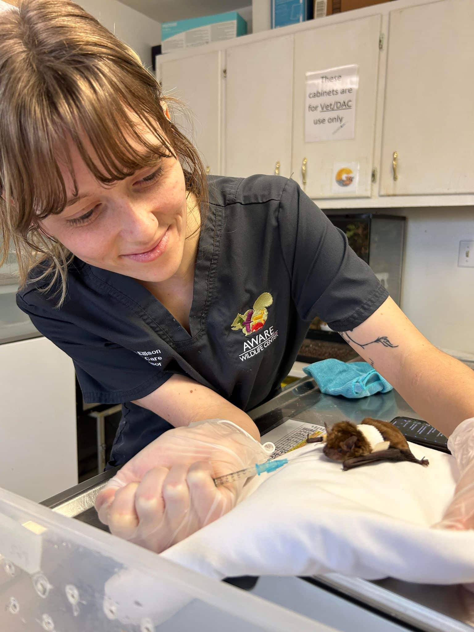 2023 EOY Page – AWARE Wildlife Center